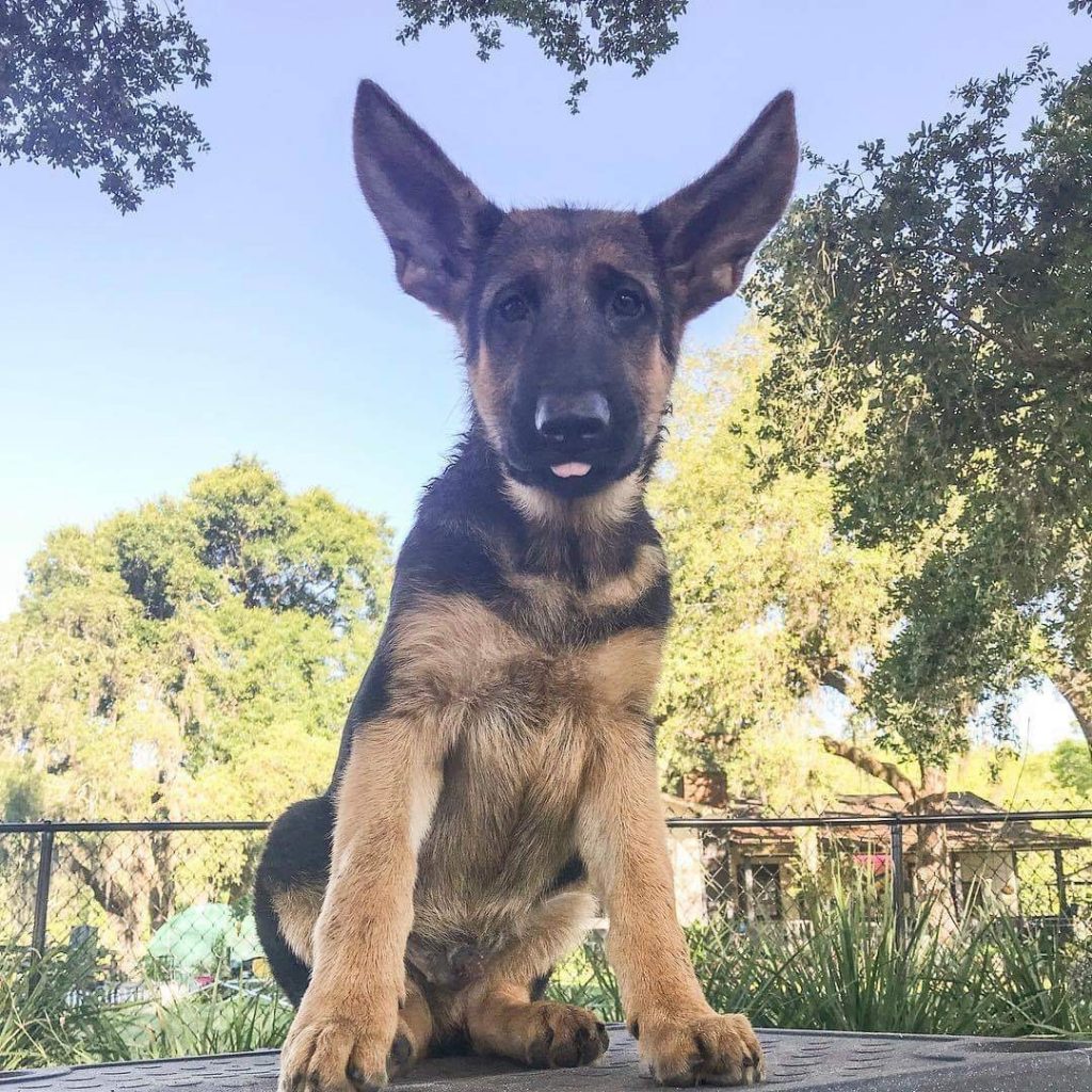 MCU Cryathon: Watch the 22 Movie Marathon With Terra Joy! – The Geekiary