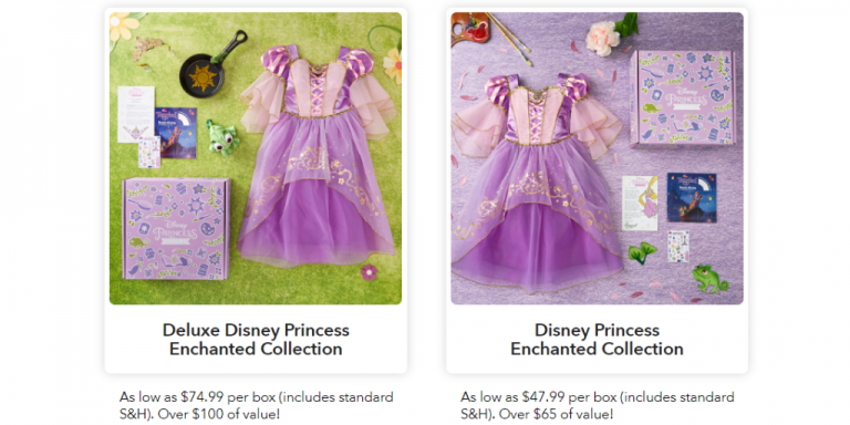 There Are Two New Disney Subscription Boxes If You Need More Mouse In ...