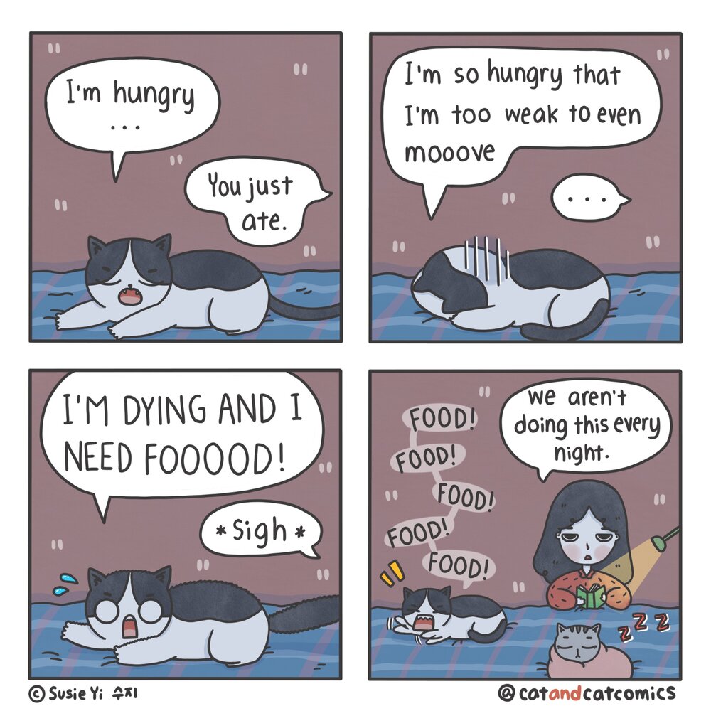 Wednesday Webcomics: Cat Comics Galore! – The Geekiary